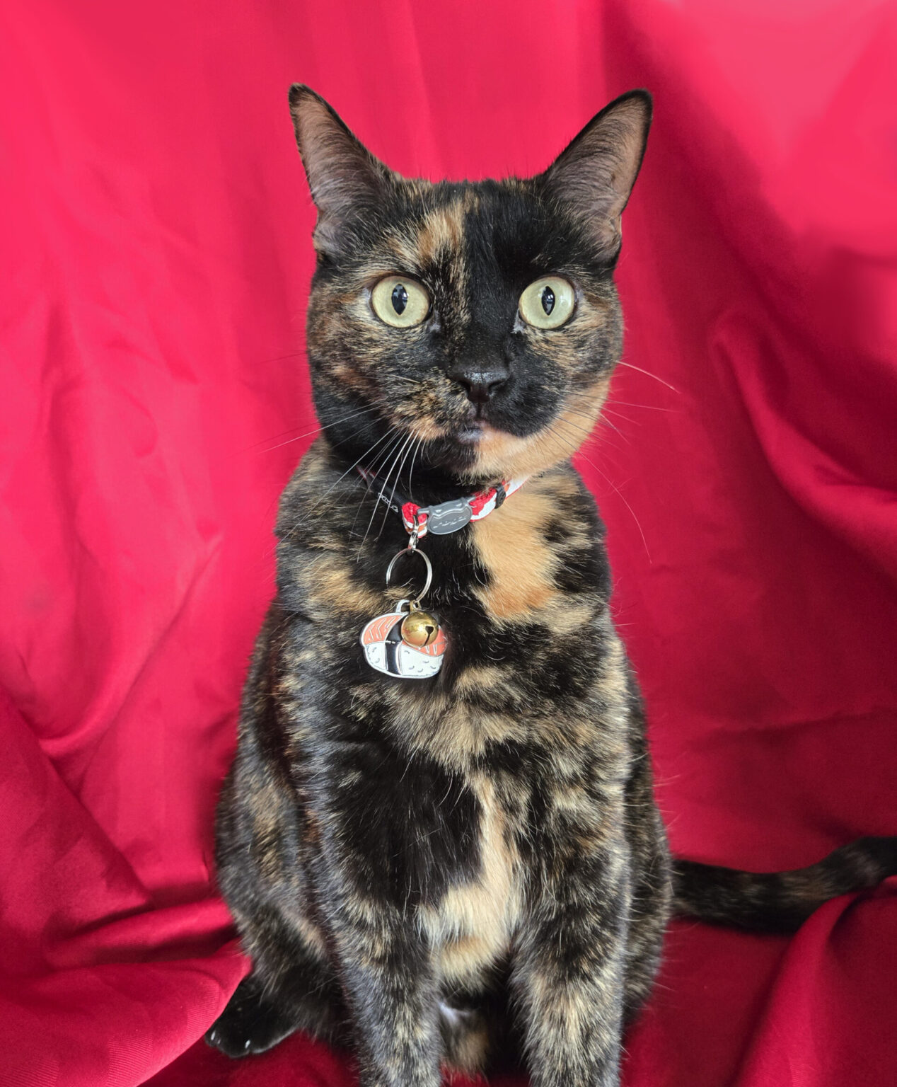 About - Dragon's Peak Creative